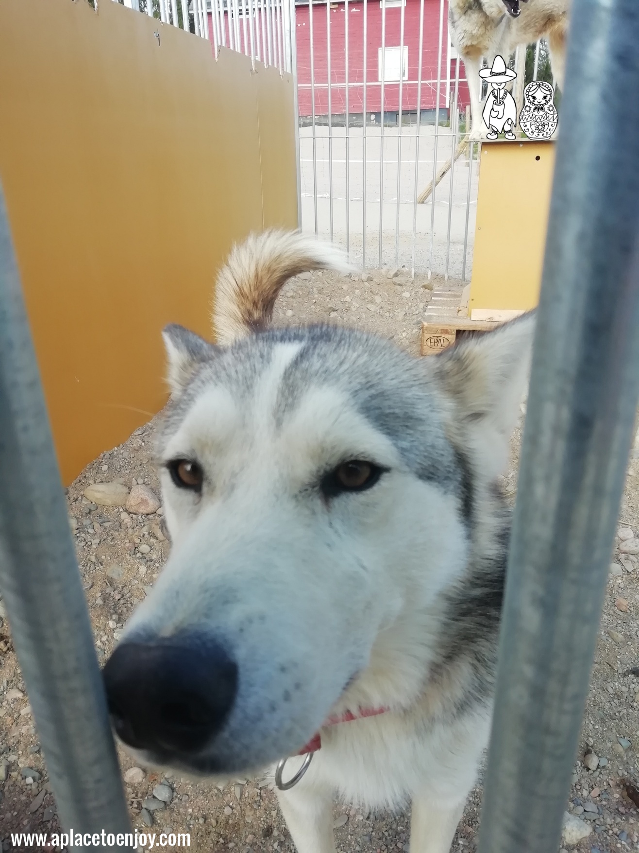 Husky Farm - A Place to Enjoy